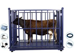 Electronic Cattle Scales To Ensure Transport Compliance & Avoid Overloading