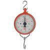 Buy Hanson Portable 100Kg Weighing Scale